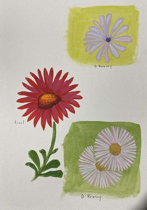 9-manifer | Créer avec Cindy